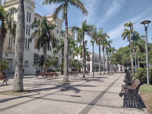 Fighting cardiovascular disease in Bolivia Reina Jenny Gutierrez Rendon ...