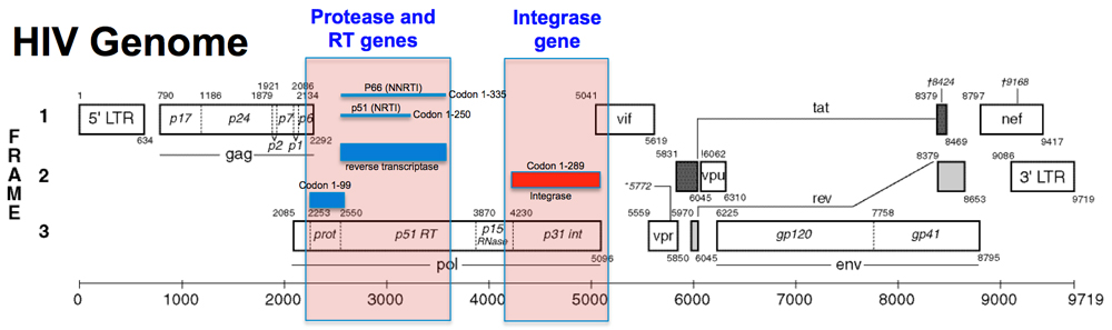 Next-generation sequencing for detecting HIV-1 drug resistance | myadlm.org