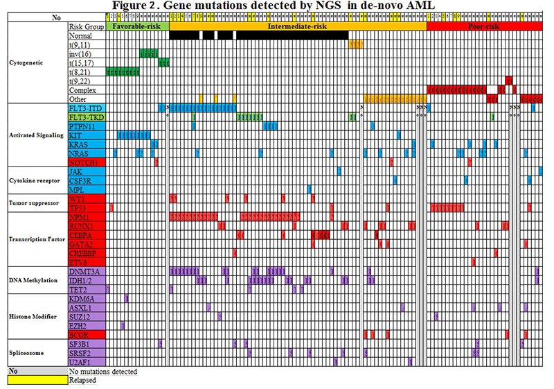 Mutation analysis by Next Generation Sequencing (NGS) in de-novo Acute ...