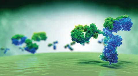 A Basic Guide to ANA Testing | myadlm.org