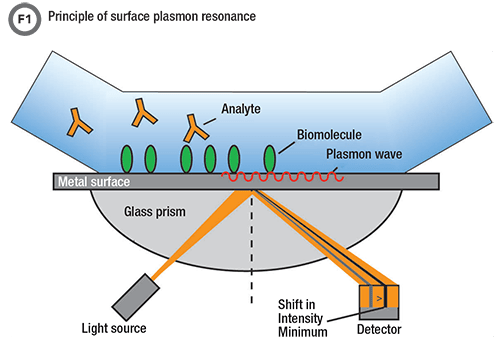 The Role of Surface Plasmon Resonance in Clinical Laboratories | myadlm.org