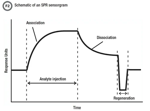The Role of Surface Plasmon Resonance in Clinical Laboratories | myadlm.org