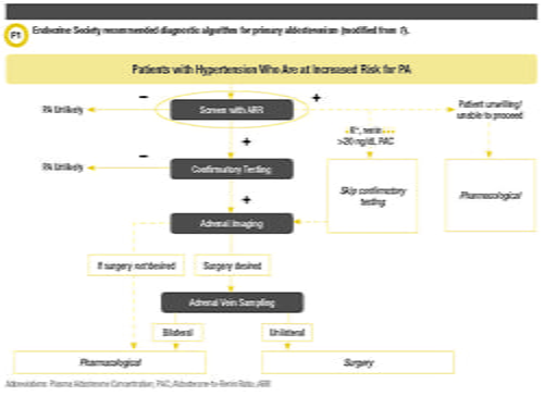 Practical Approaches to the Diagnosis of Primary Hyperaldosteronism ...