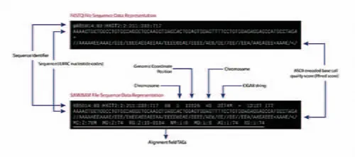 Next-Generation Sequencing Bioinformatics Pipelines | myadlm.org
