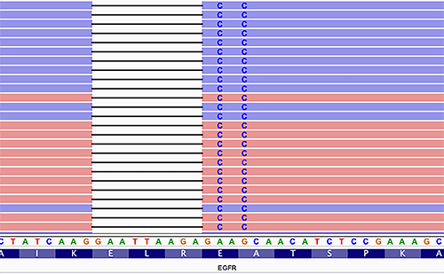 Next-Generation Sequencing Bioinformatics Pipelines | myadlm.org