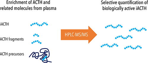 Plasma ACTH: Tales of Diagnostic Misadventure and the Path Forward ...