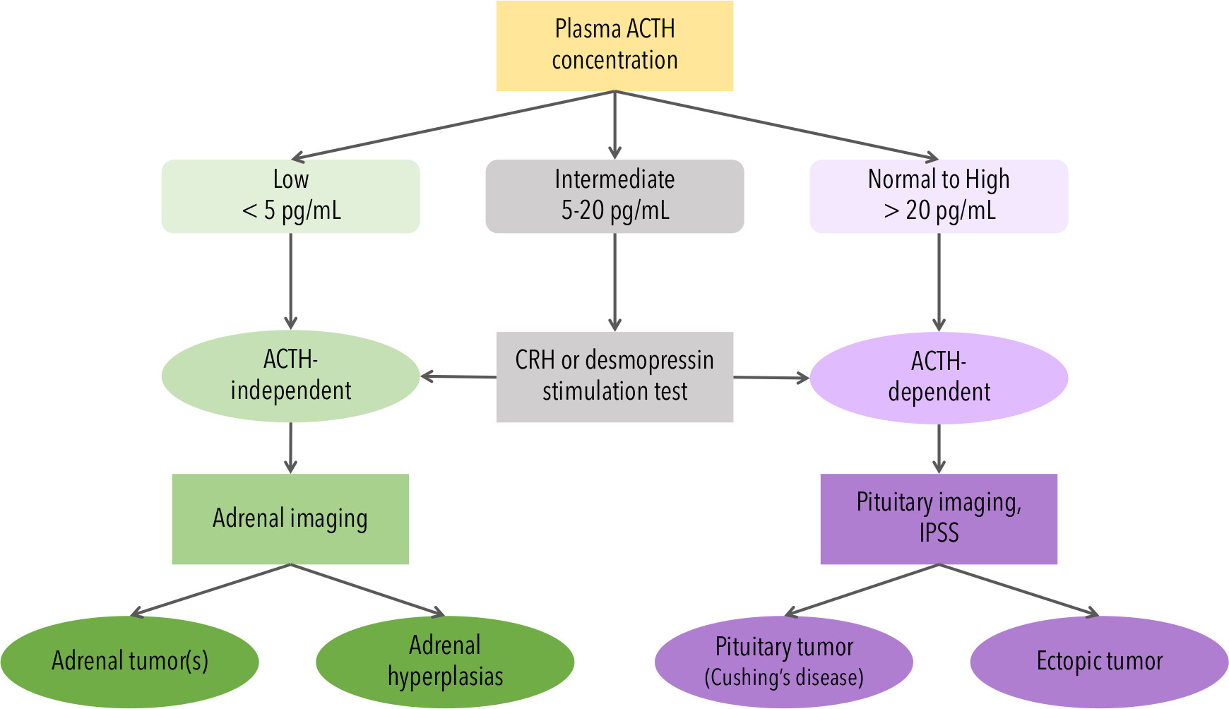 Plasma ACTH: Tales of Diagnostic Misadventure and the Path Forward ...