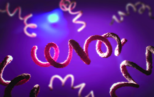 Understanding and Improving Syphilis Screening | myadlm.org