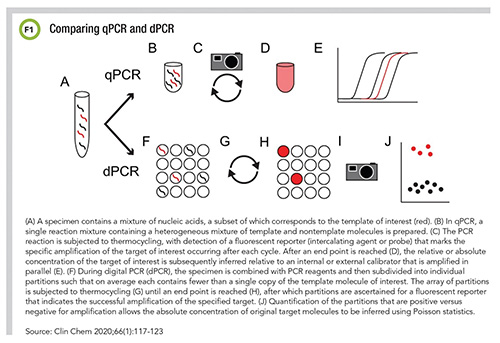 How Should We Assess PCR Accuracy? | myadlm.org