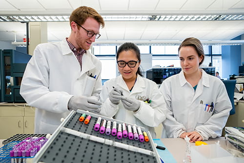 Post-College Career Options for Medical Laboratory Scientists | myadlm.org