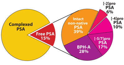 Prostate Cancer | myadlm.org