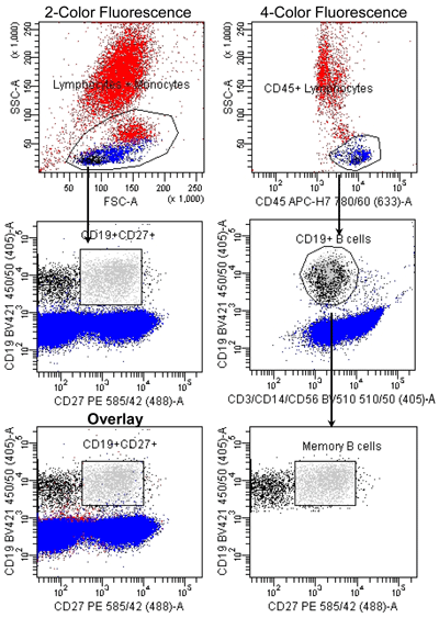 Flow Cytometry | myadlm.org