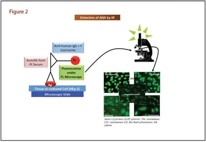 ANA Testing | myadlm.org