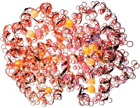 Hemaglobinopathies and Thalassemias | myadlm.org