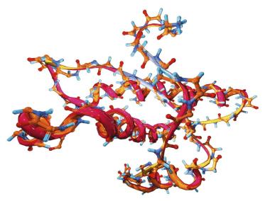 The Lab and CJD: Safe Handling of Infectious Prion Proteins | myadlm.org