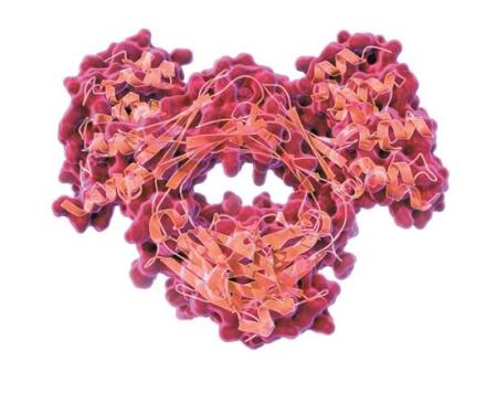 How to Detect and Solve Immunoassay Interference | myadlm.org