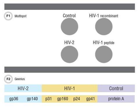 Laboratory Testing for HIV | myadlm.org