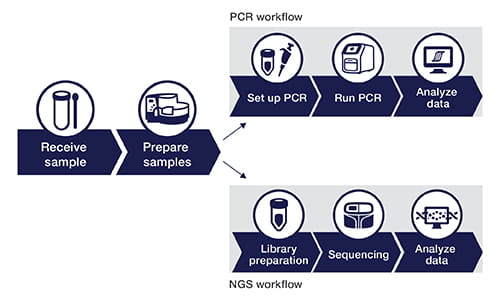Understanding Molecular Genetic Diagnostic Methods | myadlm.org