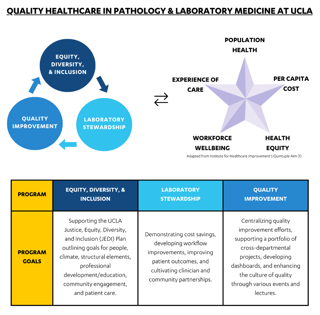 How a Program Manager Aligns Quality Improvement, Laboratory ...
